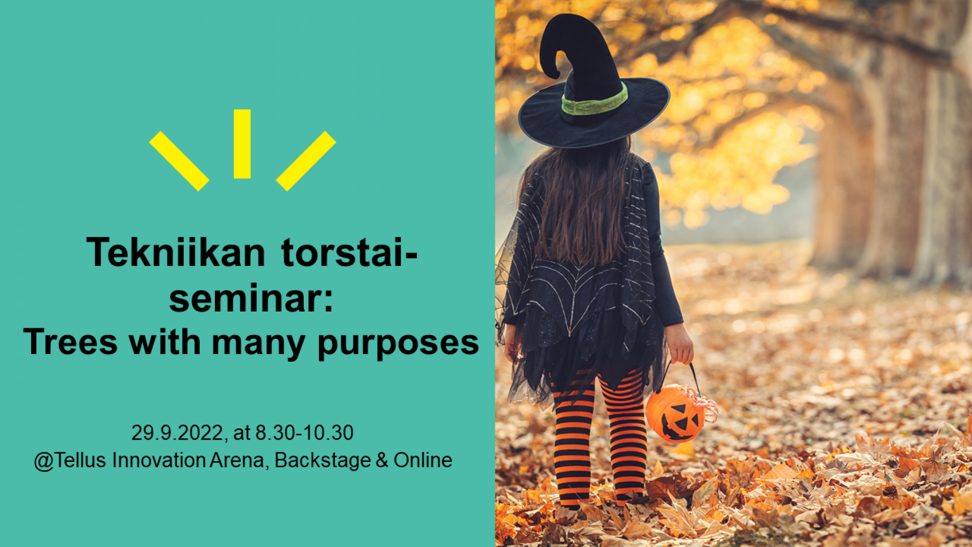 Tekniikan torstai-seminar: Trees with many purposes | University of Oulu